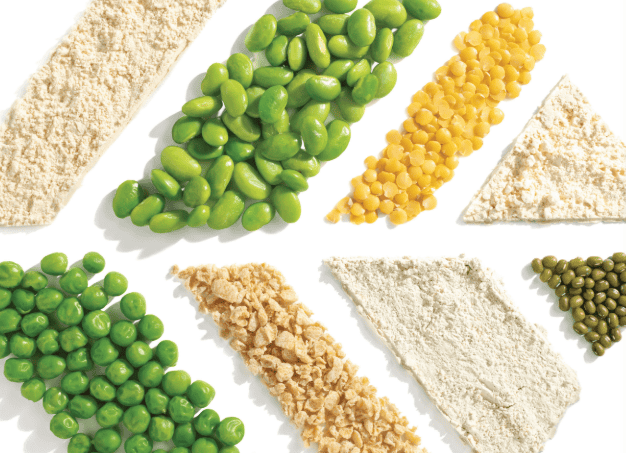 Adding Pea and Faba Concentrates to Bunge's Plant-Based Protein ...